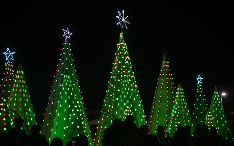 Encienden el Árbol de Navidad en el Parque Central de Ciudad Juárez ...
